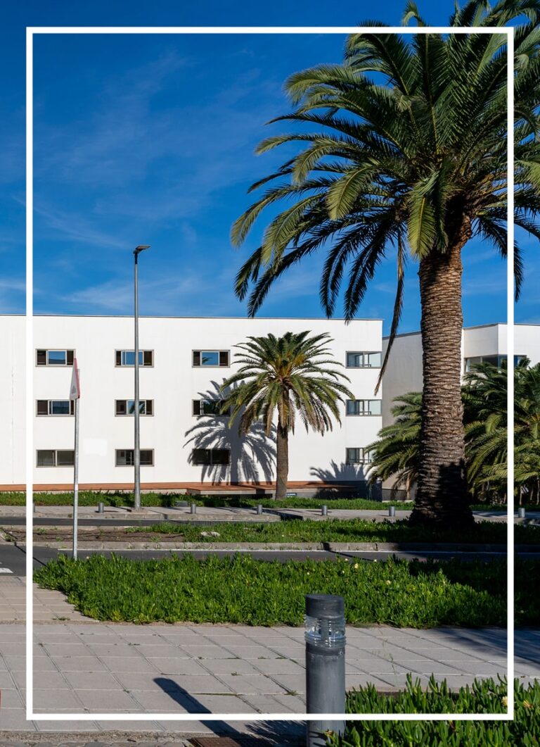 ULPGC - Localización